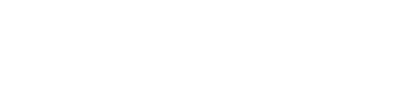 ELAN - IFEF